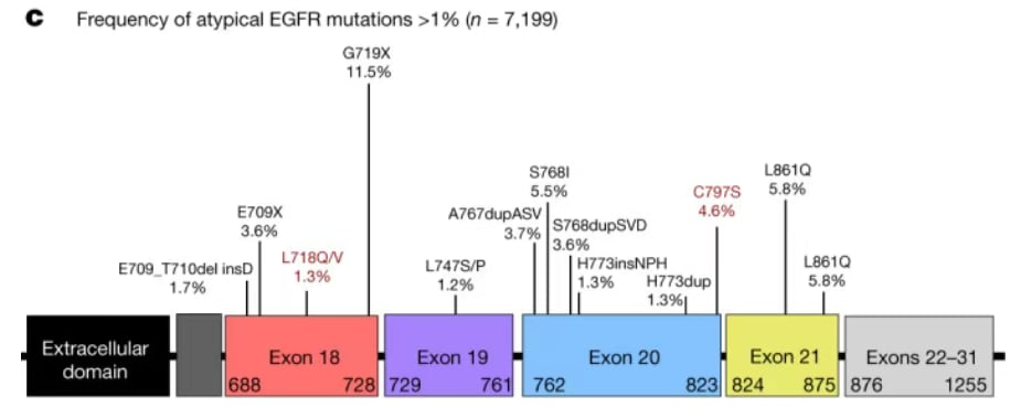 肺癌EGFR PACC与ex20ins突变怎么办？最新靶向药物与治疗策略解读 - MedFind