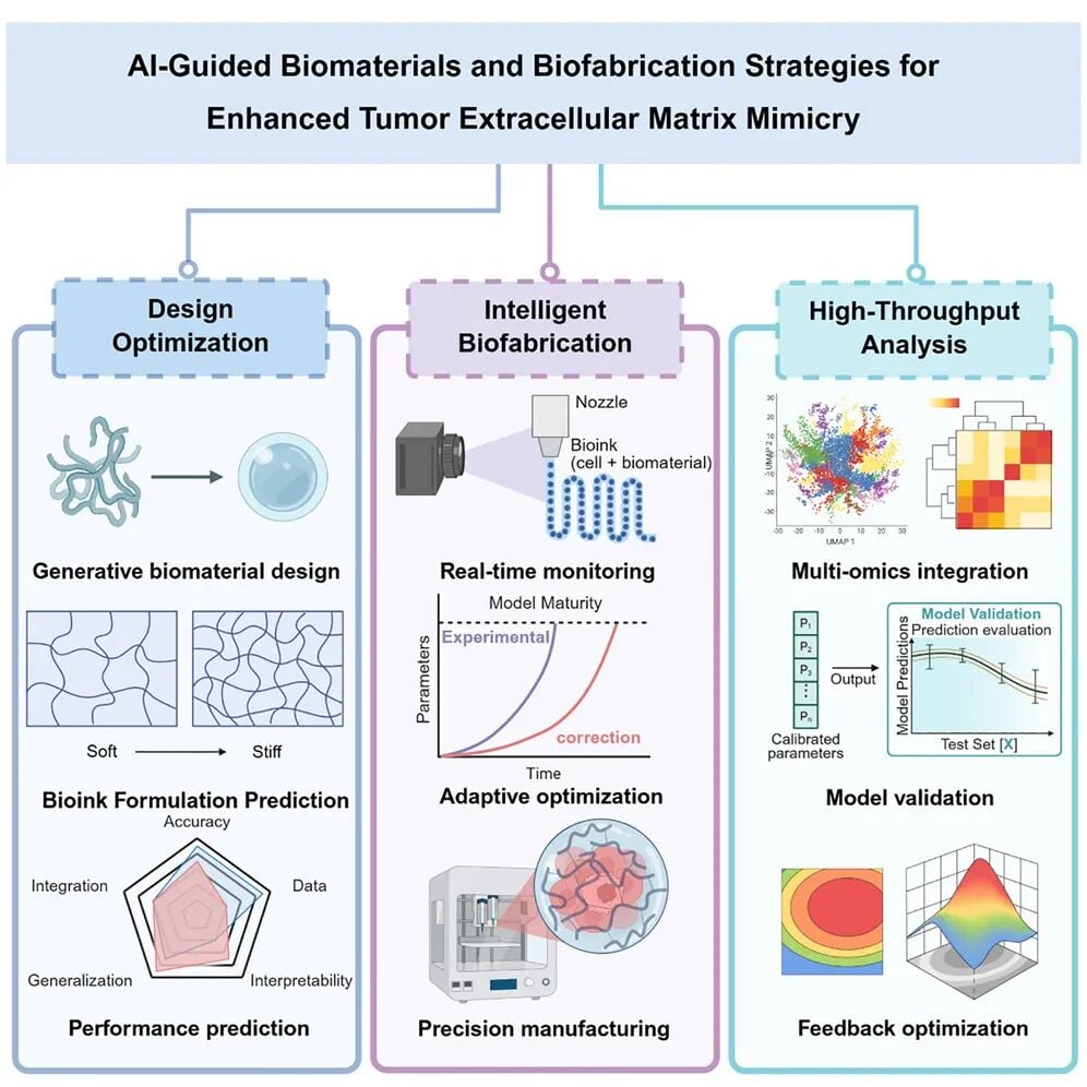 AI赋能：革新肿瘤细胞外基质建模，助力癌症精准治疗新突破 - MedFind