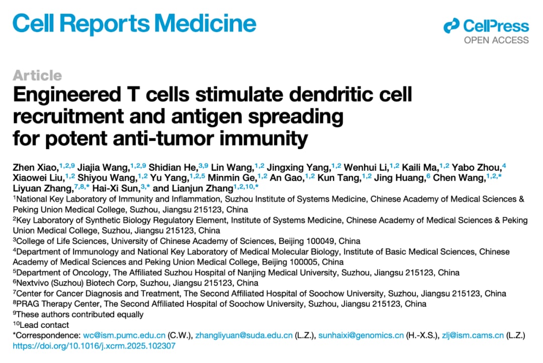 CAR-T治疗实体瘤新突破：Flt3L与XCL1工程化T细胞激活免疫反应 - MedFind