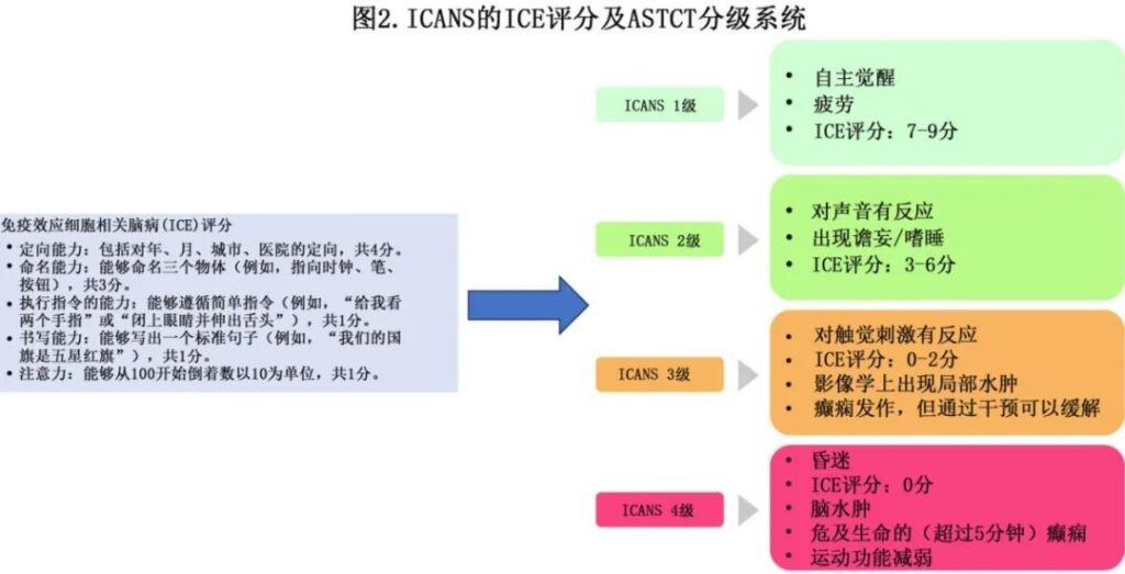 CAR-T细胞疗法神经毒性深度解析：ICANS、MNT及应对策略 - MedFind