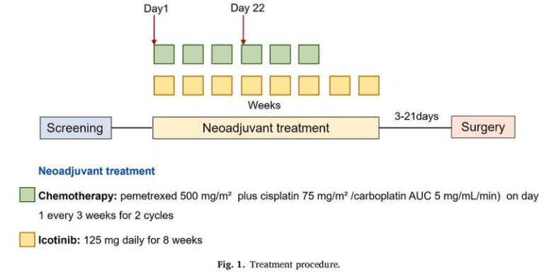 Telisotuzumab Vedotin（Emrelis）在c-MET过表达非小细胞肺癌中疗效显著 - MedFind