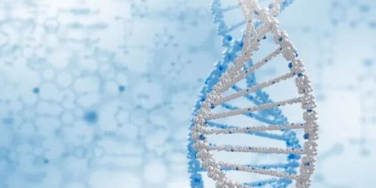 BMS-986504：MTAP缺失非小细胞肺癌靶向治疗新希望，临床研究成果引关注 - MedFind